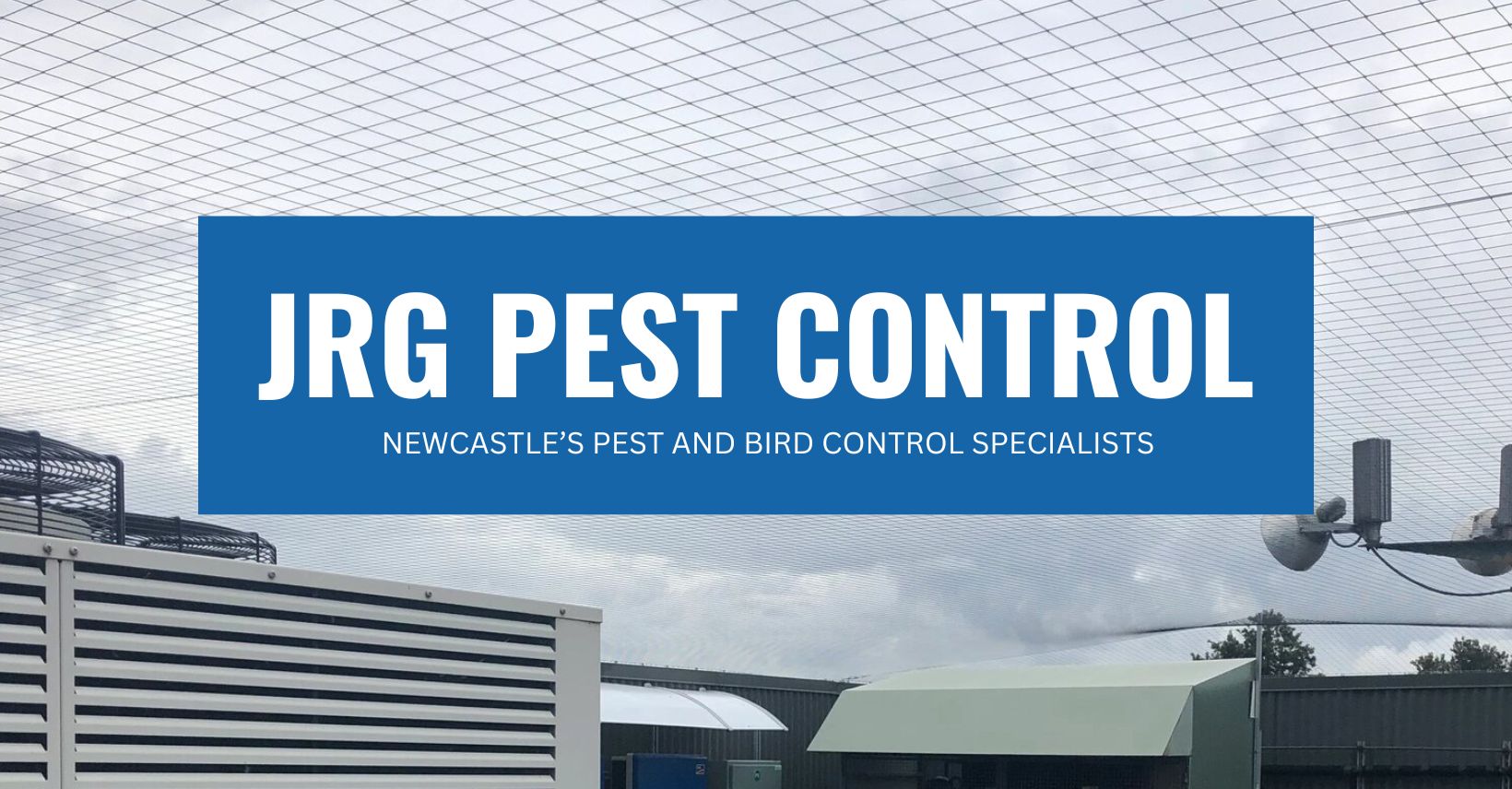 Local Pest Control & Termite Experts